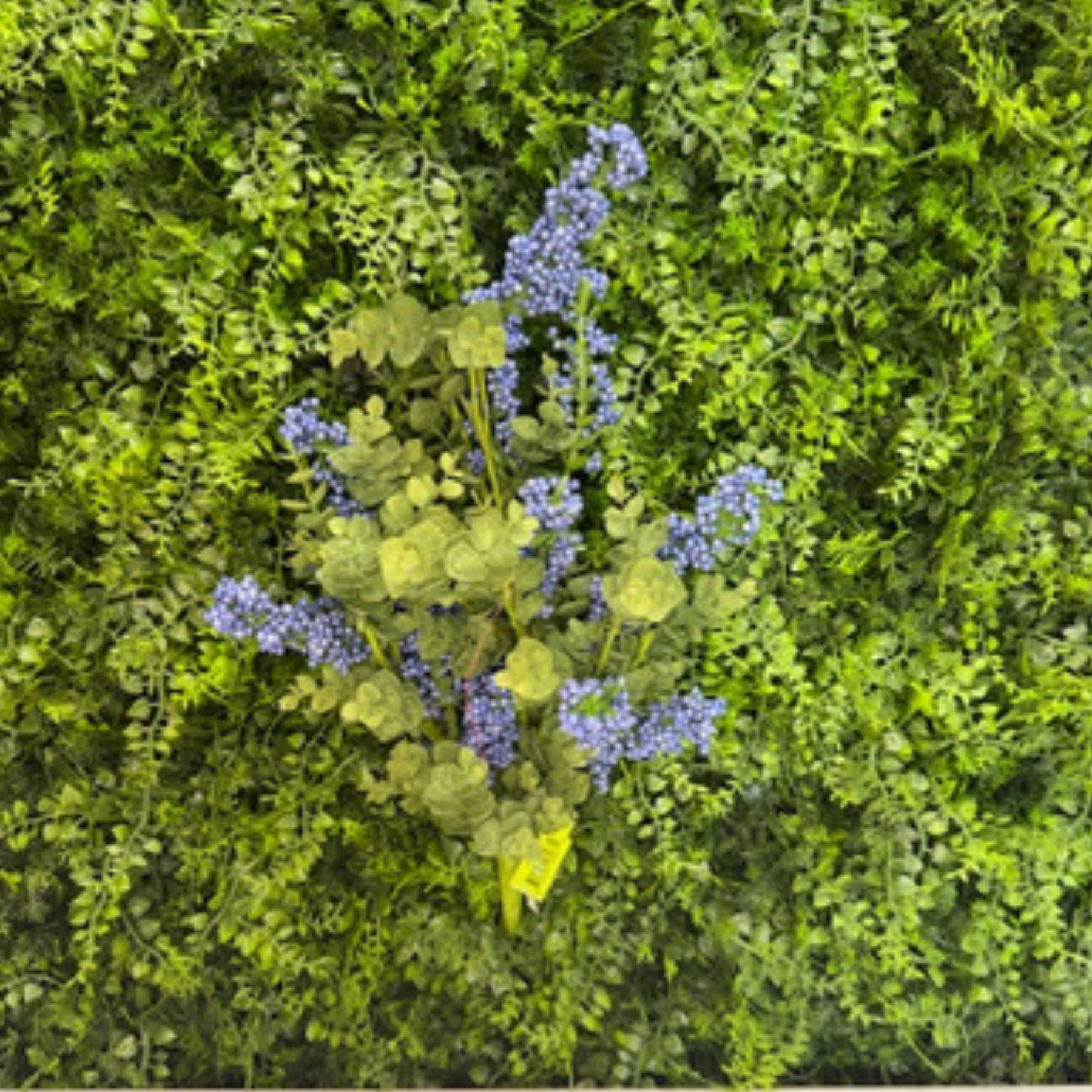 20" Blue Heather Eucalyptus Bush – DecoratorCrafts